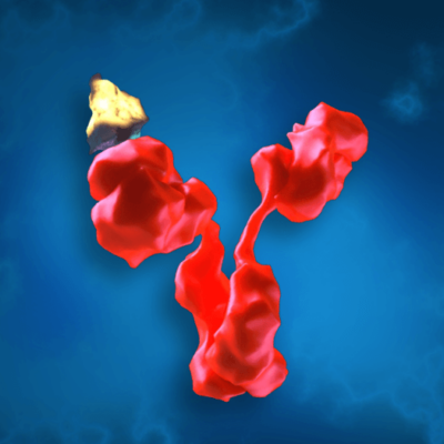 Revolutionizing cancer care through IL2 therapeutics | Aulos Bioscience